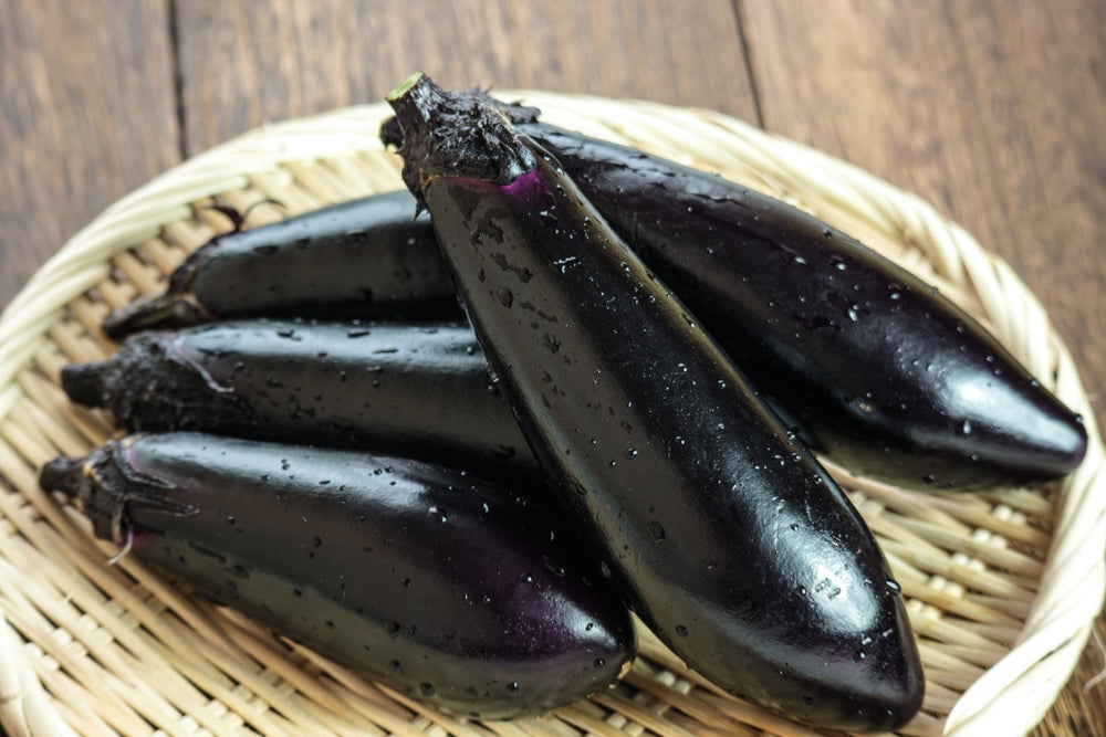 中長なす 1LB EGG PLANT (JAPANESE SEED) GROW IN LA NASU – HANAMARU JAPANESE ...